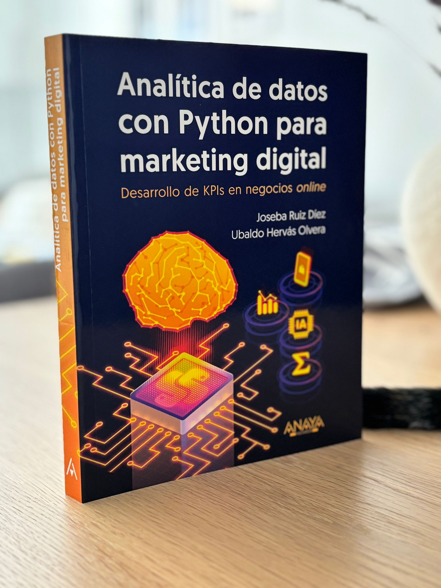 Data Analyst, Digital Marketing techie & SEO specialist - Joseba Ruiz Diez